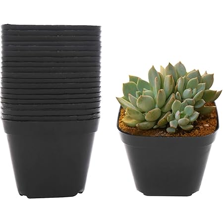 Amazon.com: Plastic Square Nursery Pots 30 Pcs 4 Inch Small Square ...