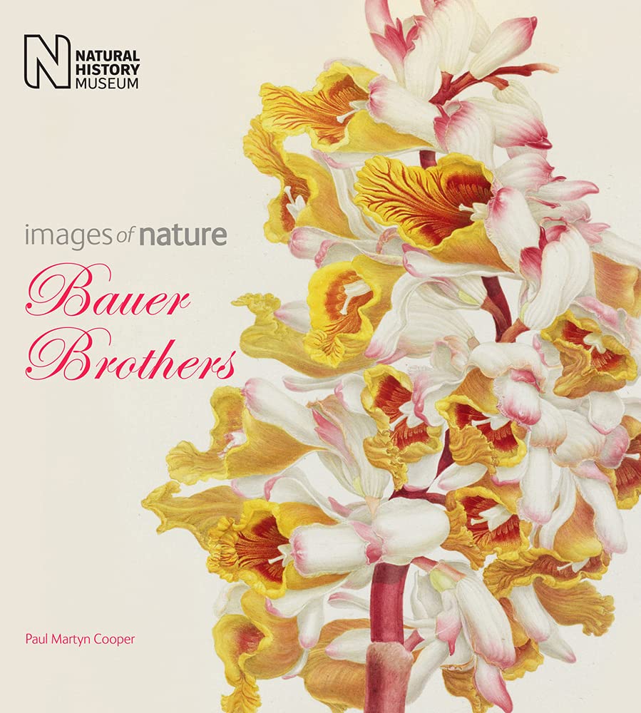 The Bauer Brothers: Images of Nature: 4: Amazon.co.uk: Cooper, Paul ...