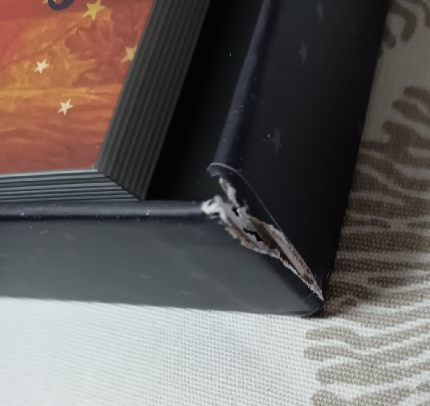 Amazon | The Witches' Oracle: Contains 42 divinatory cards and ...