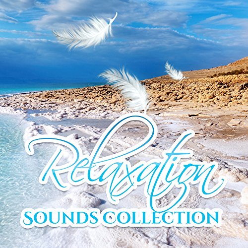 Amazon.com: Relaxation Sounds Collection – New Age Music, Pure ...
