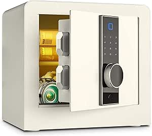 Amazon.com: QYTNWC strongbox Fingerprint Access Biometric Home Large ...