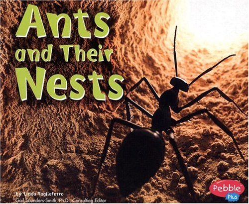 Ants and Their Nests (Pebble Plus): Tagliaferro, Linda, Saunders-Smith ...