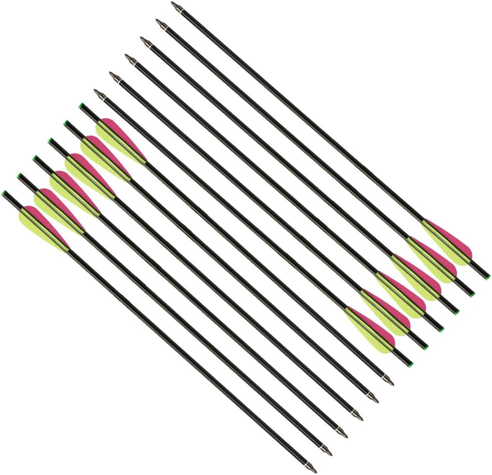 Amazon.com : TOPARCHERY 12pcs Crossbow Bolts 20 inch Hunting Archery ...
