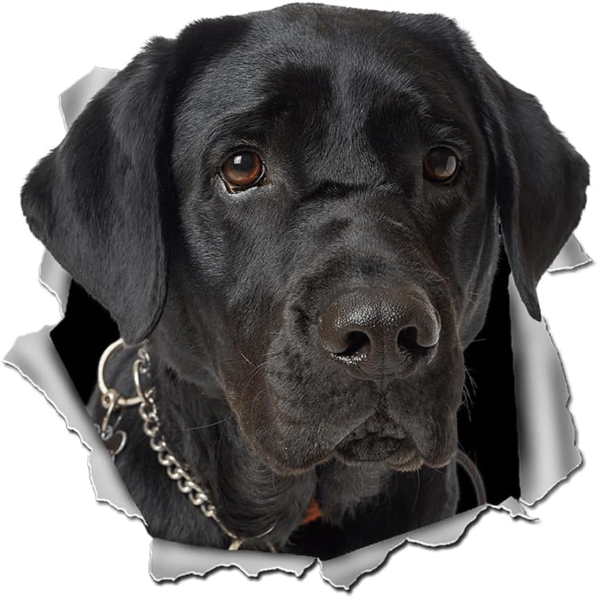 XTRAYXRAY Loveable Black Labrador Dog Sticker 3D Dog Lab Pet Crack ...