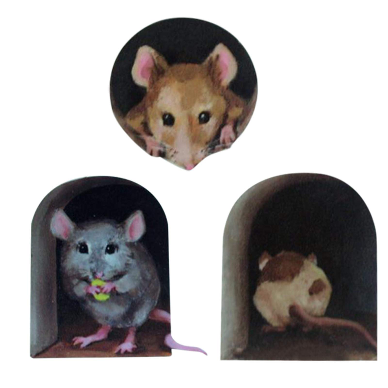 Mouse Mice In Holes