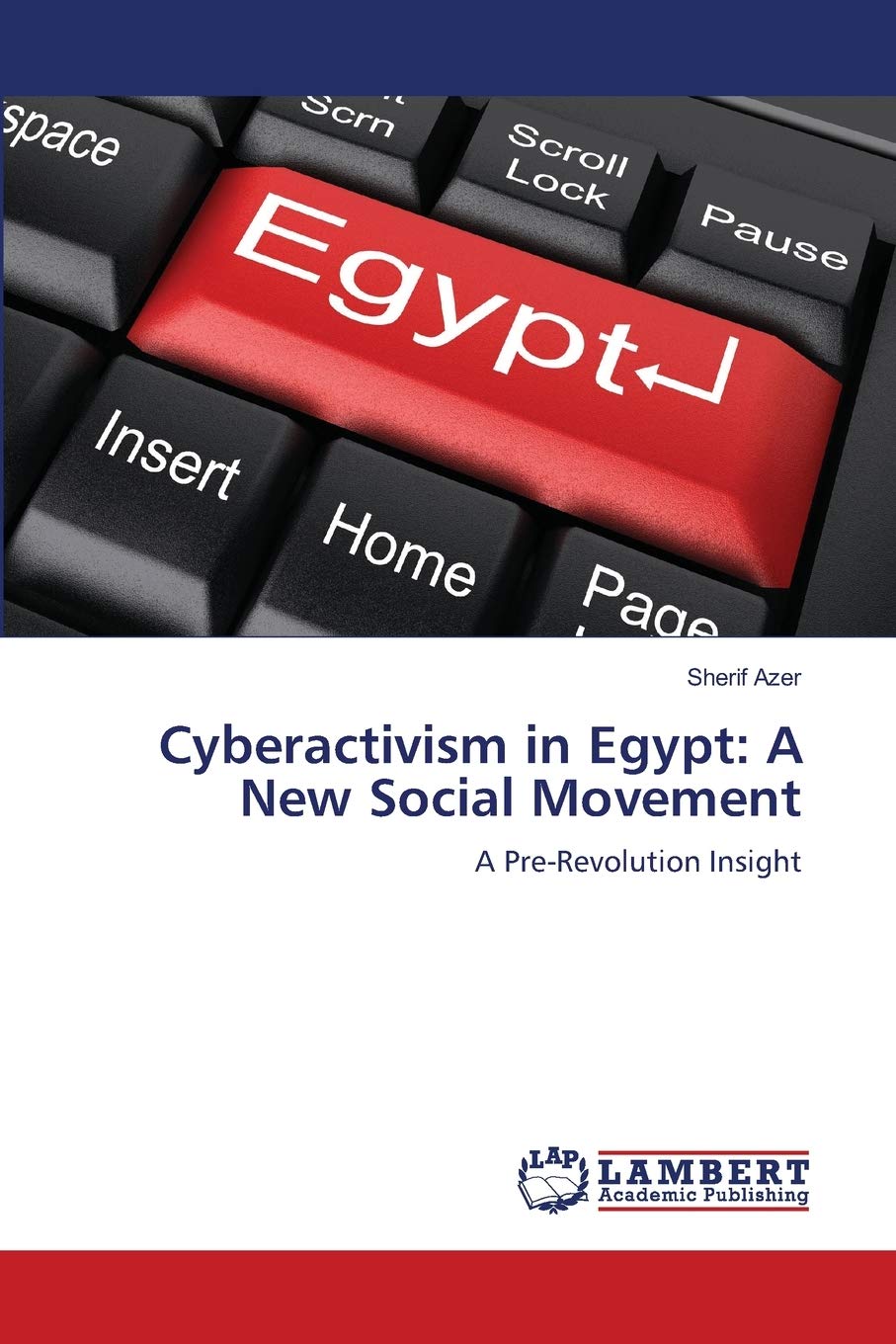 Cyberactivism in Egypt: A New Social Movement: A Pre-Revolution Insight ...