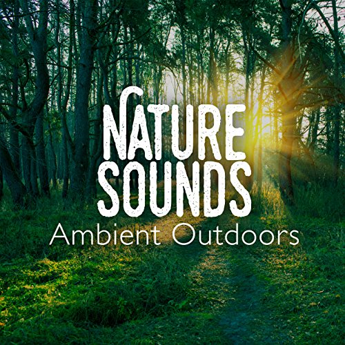 Play Nature Sounds: Ambient Outdoors by Nature Sounds & Nature Sounds ...
