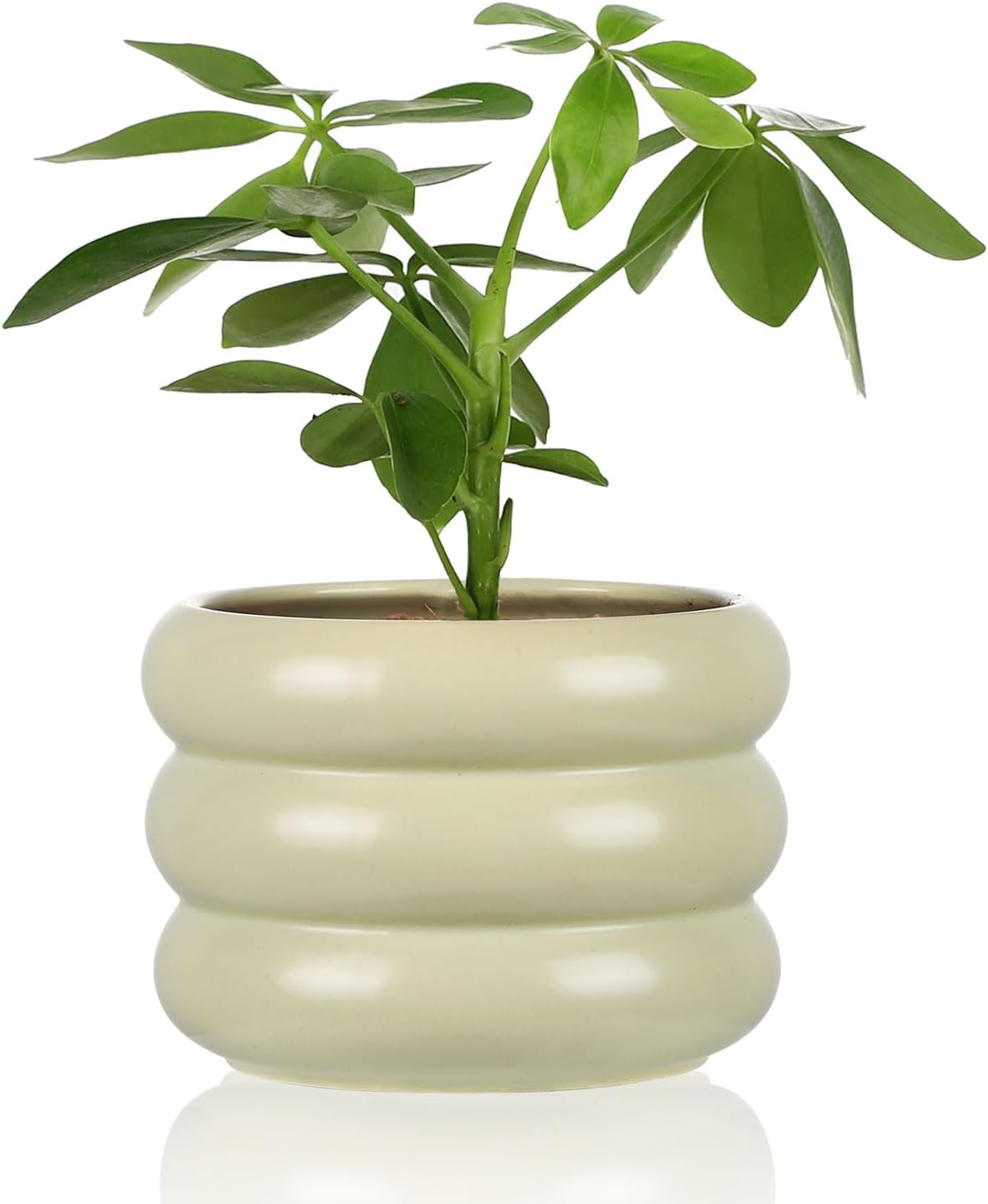 Amazon.com: WP Modern Plant Pot - Boho Planter Pot - Indoor Plant Pots ...