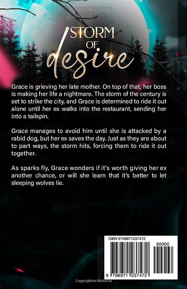 Snapklik.com : Storm Of Desire: Curvy Girl Forced Proximity Paranormal Romance