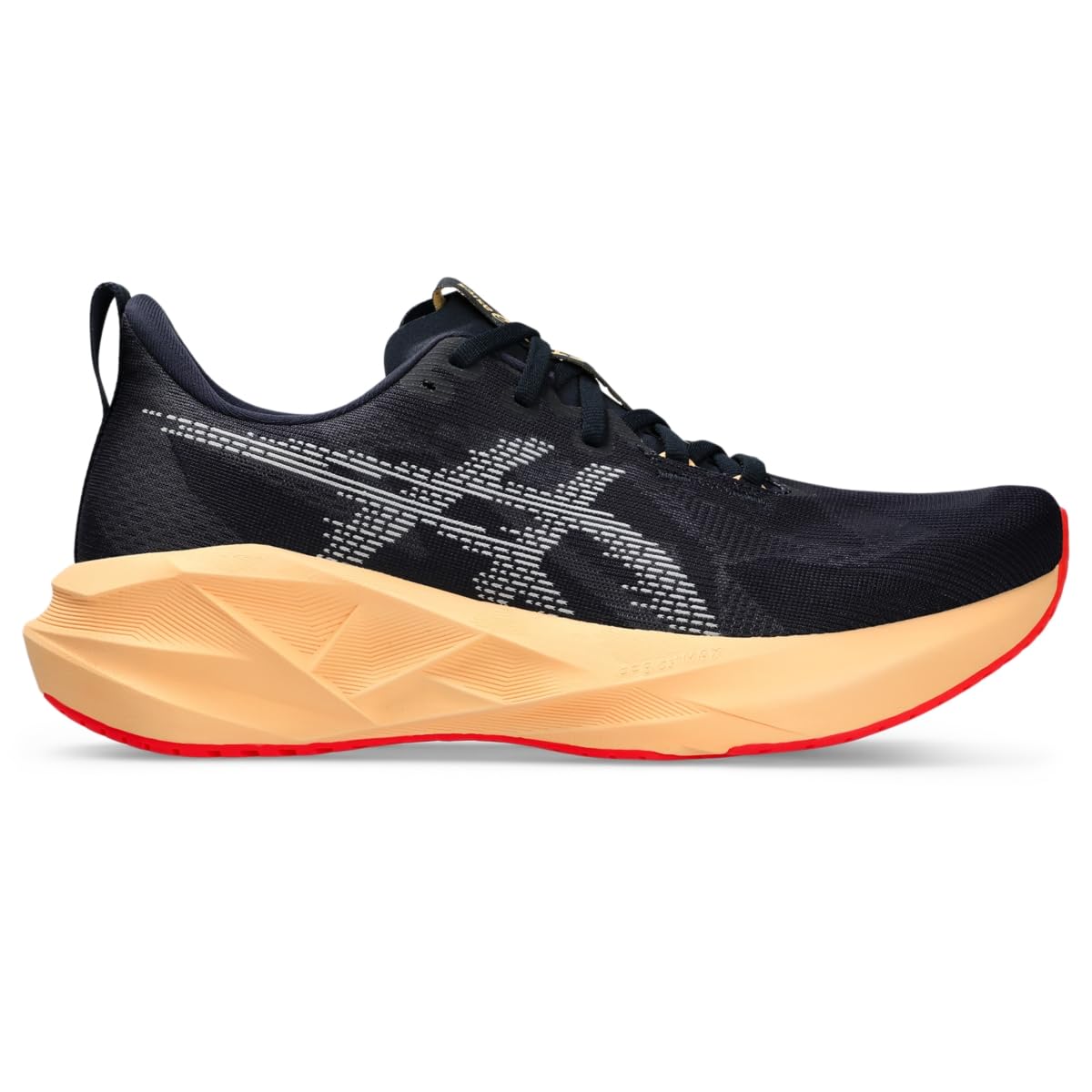 Snapklik.com : ASICS Mens NOVABLAST 5 Running Shoes
