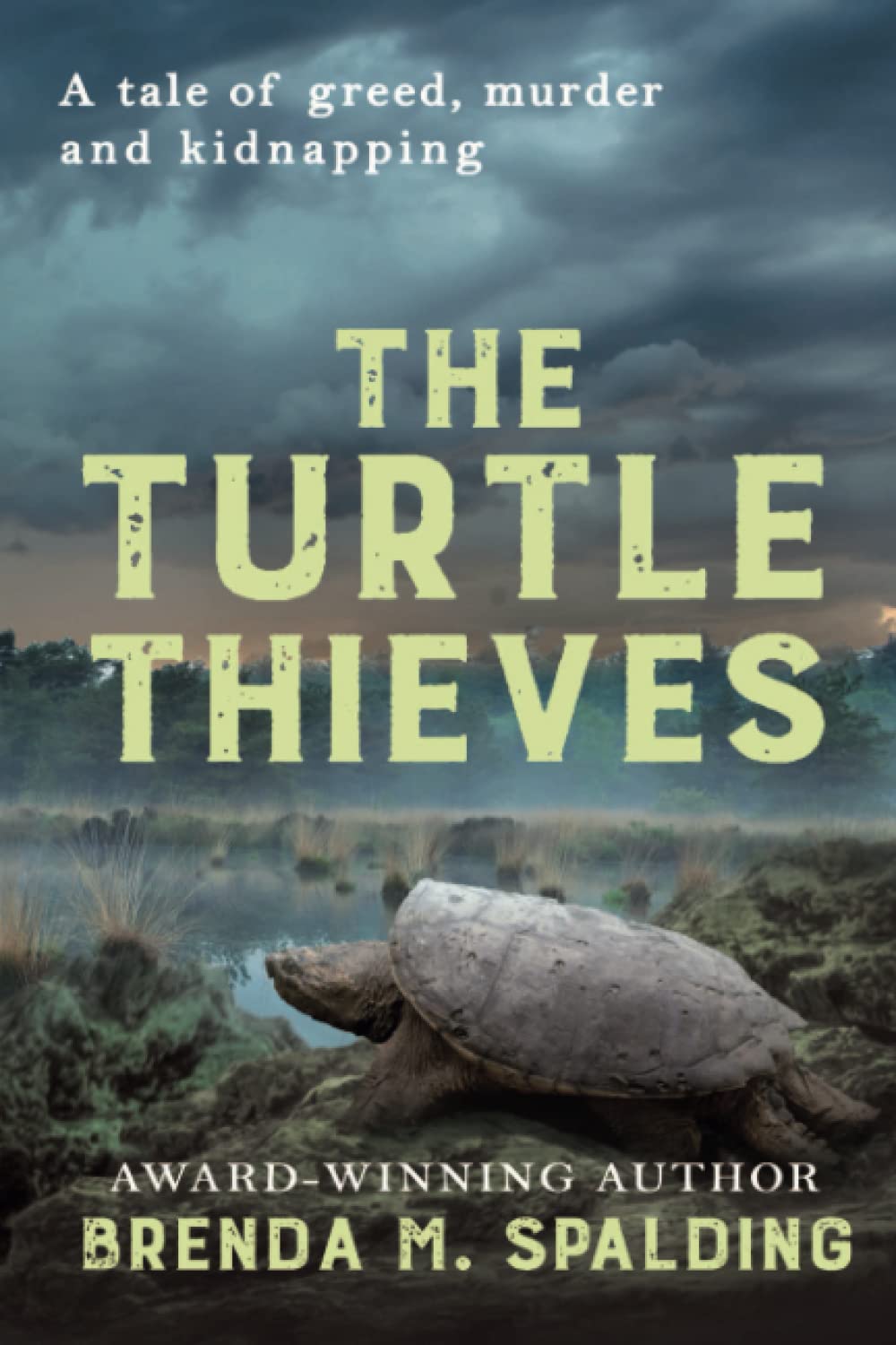 The Turtle Thieves (Florida Wildlife Heroes): Spalding, Brenda M ...