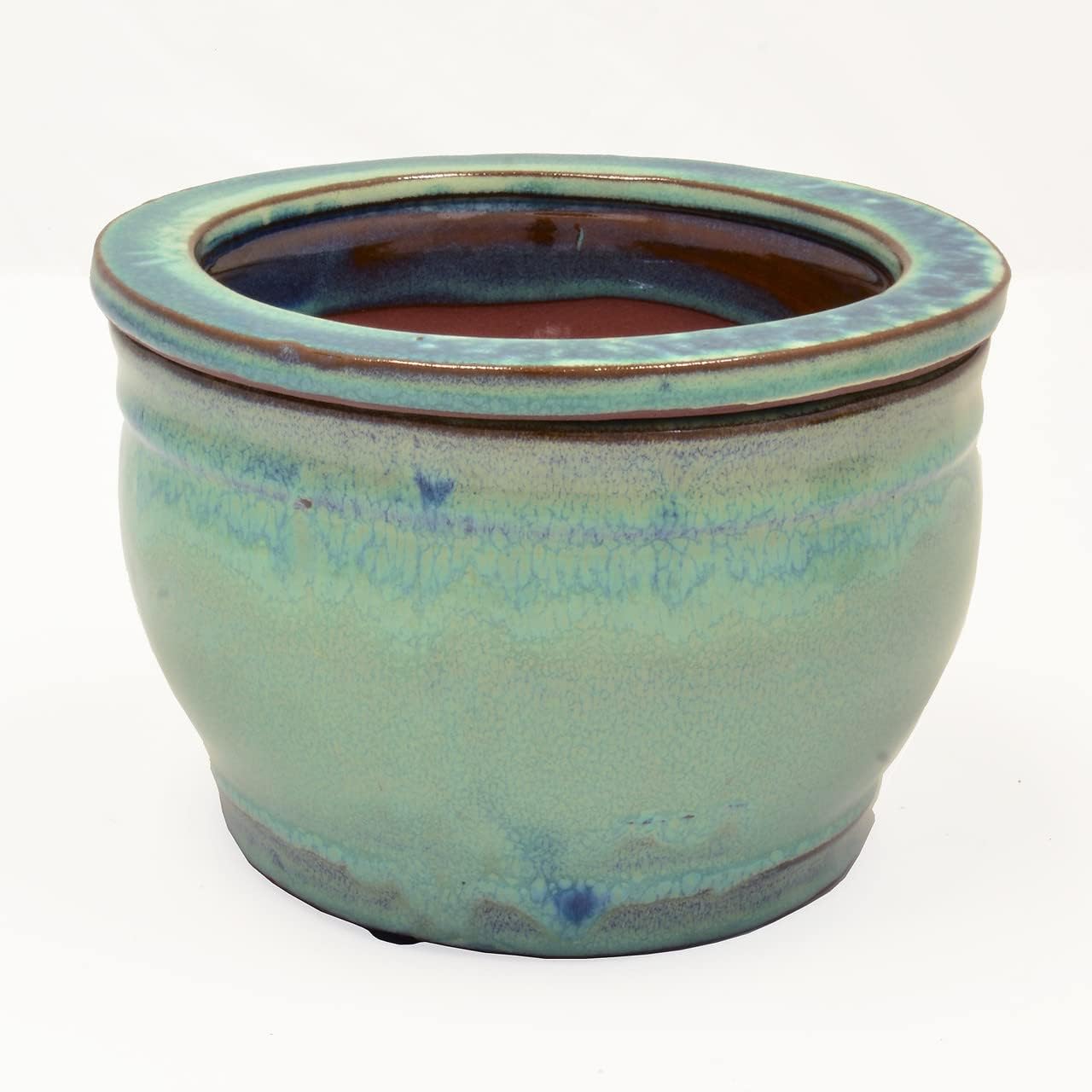Amazon.com: Self Watering Ceramic Pot with Plant Buddy Frog Figernie in ...