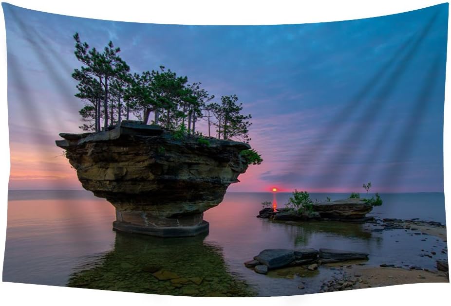 Amazon.com: Michigan Lake Huron sunset roctrees landscape - Wall ...