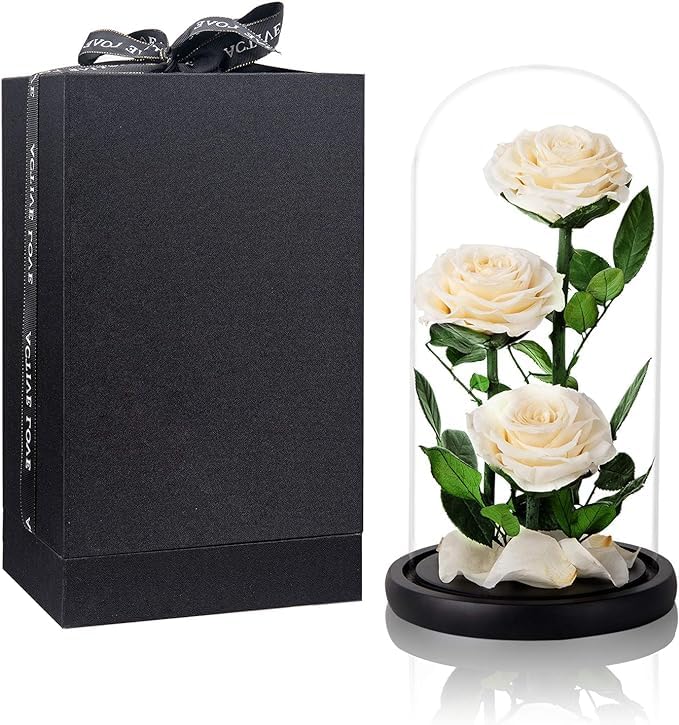 amazon.ae Best Sellers: The best items in Preserved Flowers based on ...
