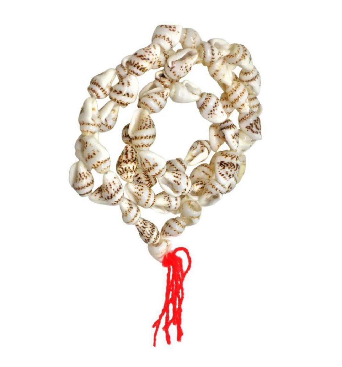 Buy Takshila Gems® Conch Mala, Conch Puja Mala, Shankh Mala for Laxmi ...