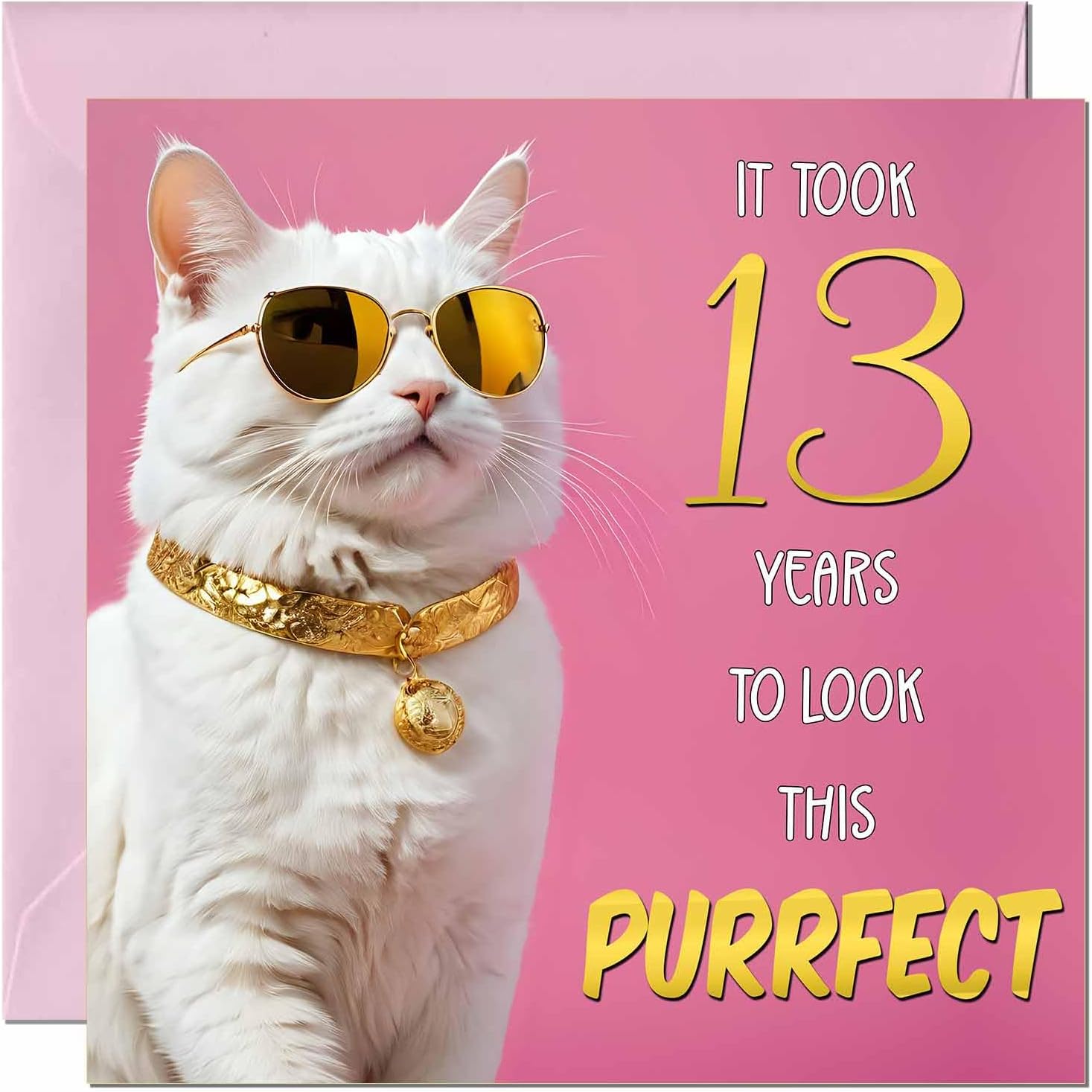 13th Cat Birthday Card for Girls - Purrfect Birthday - Teenager Funny ...