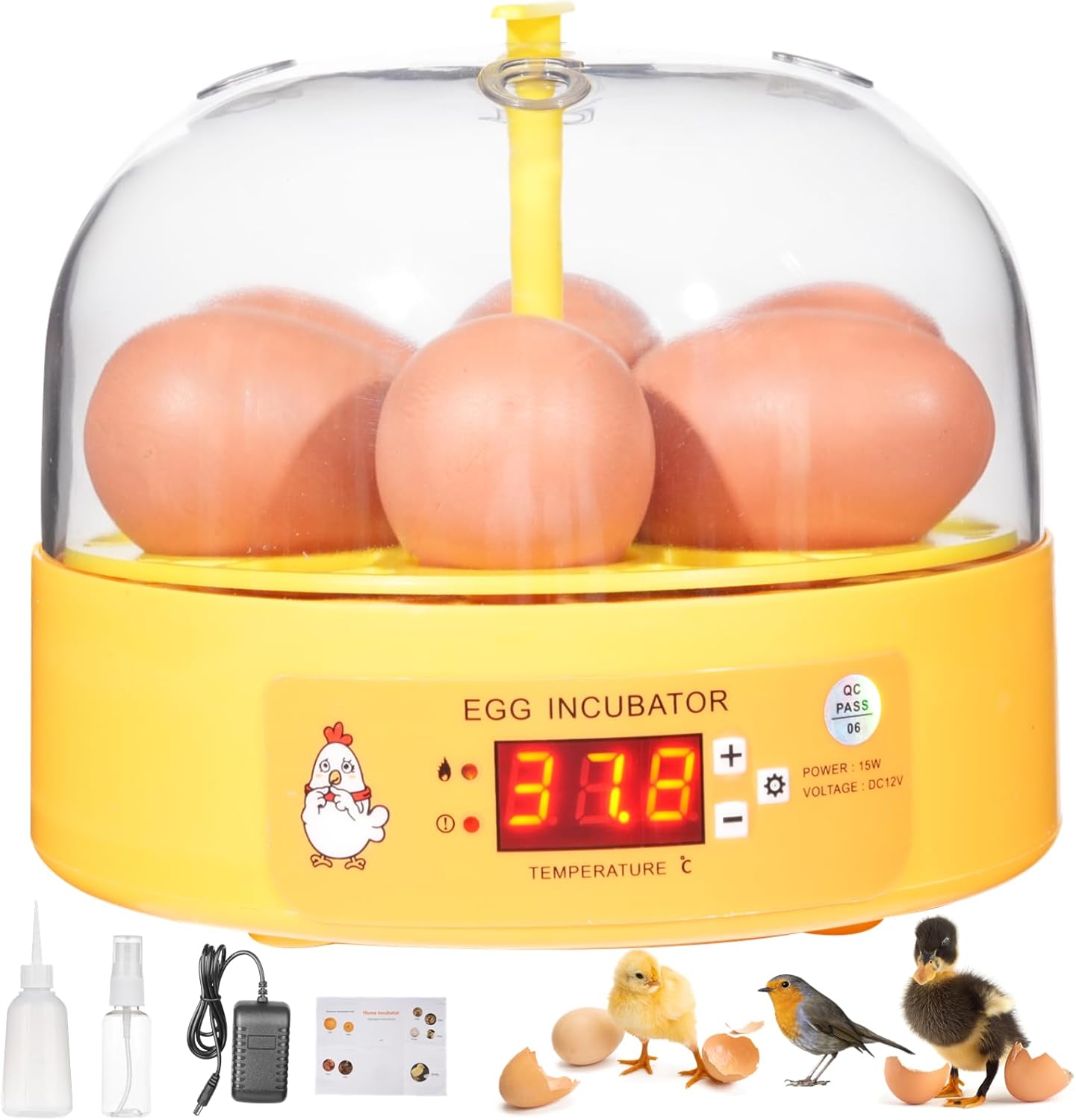 Amazon.com: Joyibay Egg Incubator Set, 6-Egg Hatching Machine w ...