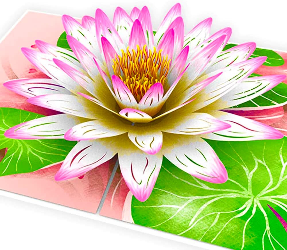 Hartensteler® Pop-Up Card White Lotus - 3D White Lotus Card for Wife ...