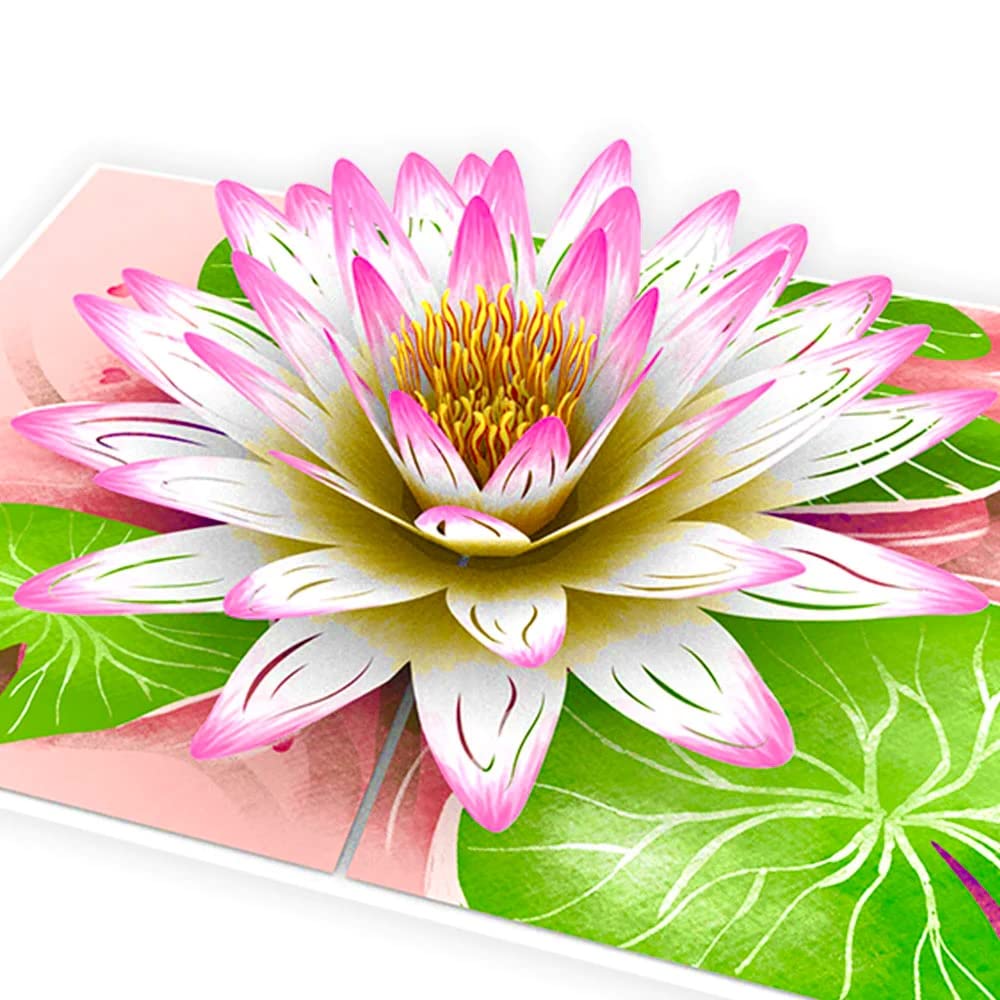 Hartensteler® Pop-Up Card White Lotus - 3D White Lotus Card for Wife ...