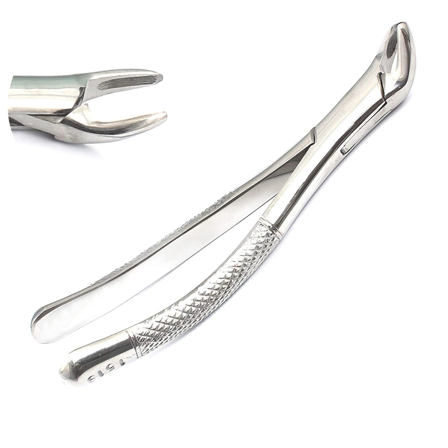 American Extracting Forceps / American Extracting Forceps No. 151s ...