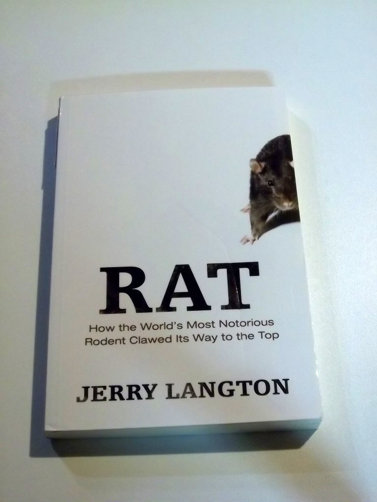 Rat : How the World's Most Notorious Rodent Clawed its Way to the Top ...