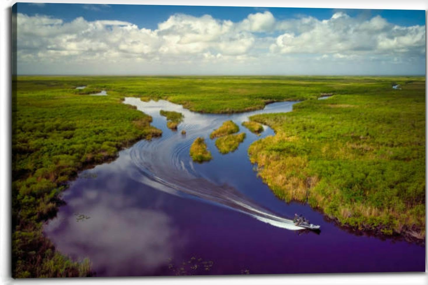 Amazon.com: Everglades National Park Airboat Swamp Florida State ...