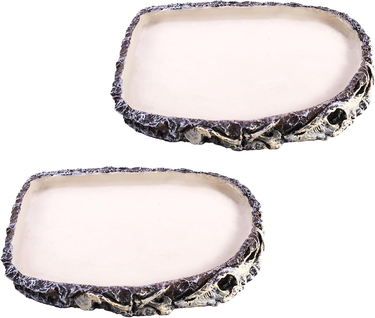 Amazon.com : Tfwadmx 2 Pack Reptile Water Bowl, Reptile Feeding Dish ...