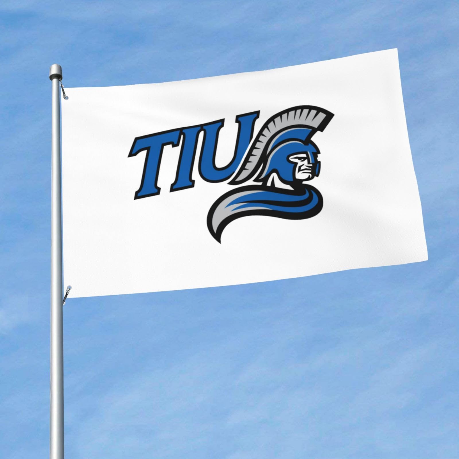 Trinity International University Logo