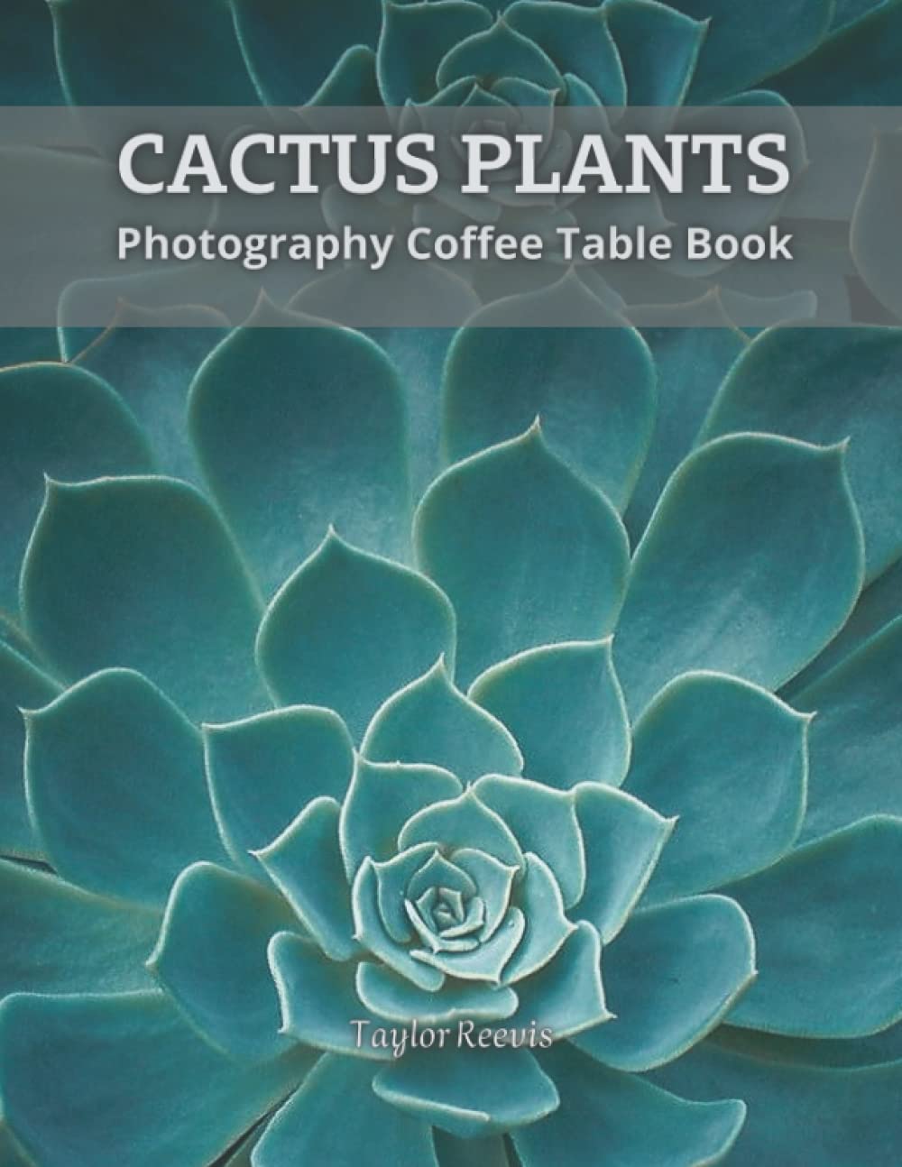 Cactus Plants: A Beautiful Landscape Nature Photography Coffee Table ...