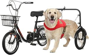 Amazon.com: WEIMMIN Dog Tricycle Adults 3-Wheel Pet Stroller Bicycle ...
