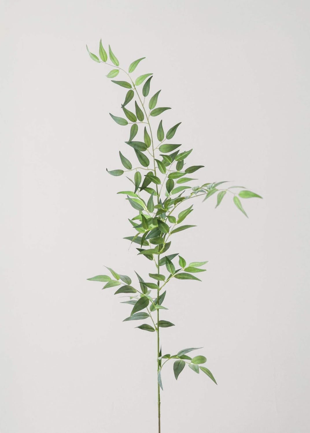 Amazon.com: Afloral Fake Plants Italian Ruscus Branch - 49" : Home ...