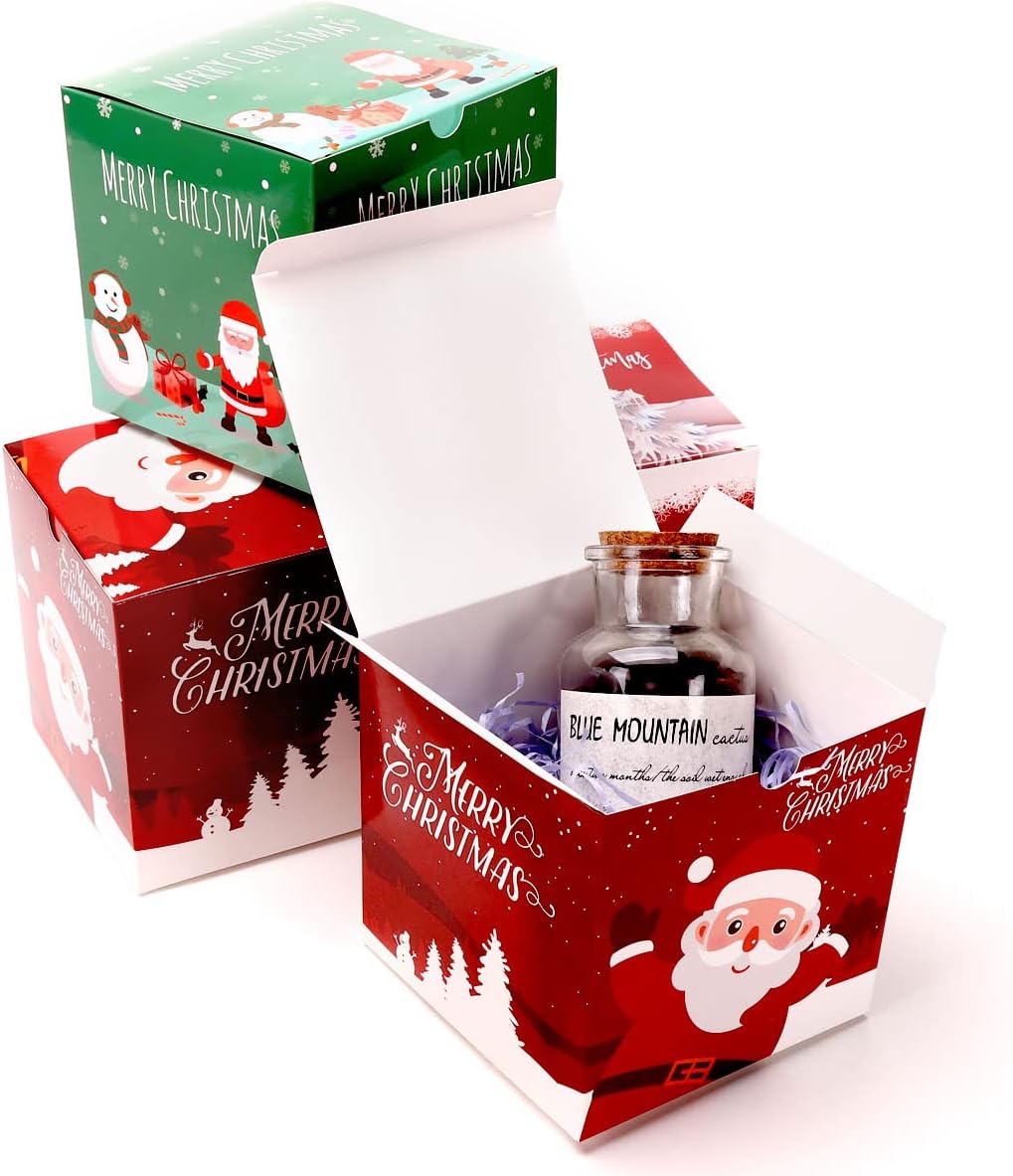 Amazon.com: Frantis 15 Pack Christmas Gift Boxes 5x5x5 Inches with Lids ...