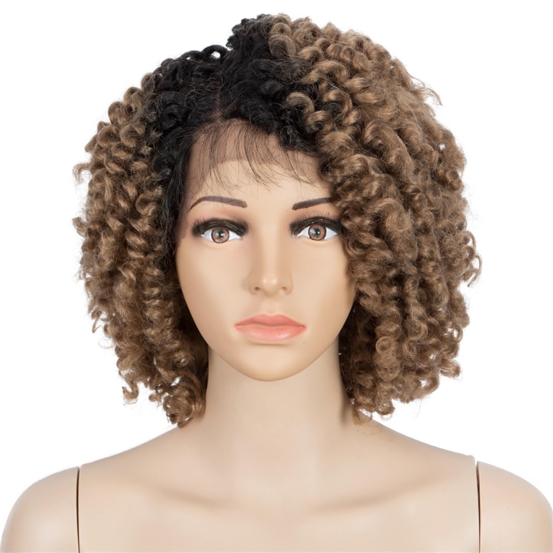 Amazon.com : Pulcykp Short Lace Wigs For Women Natural Curly Wigs Afro ...