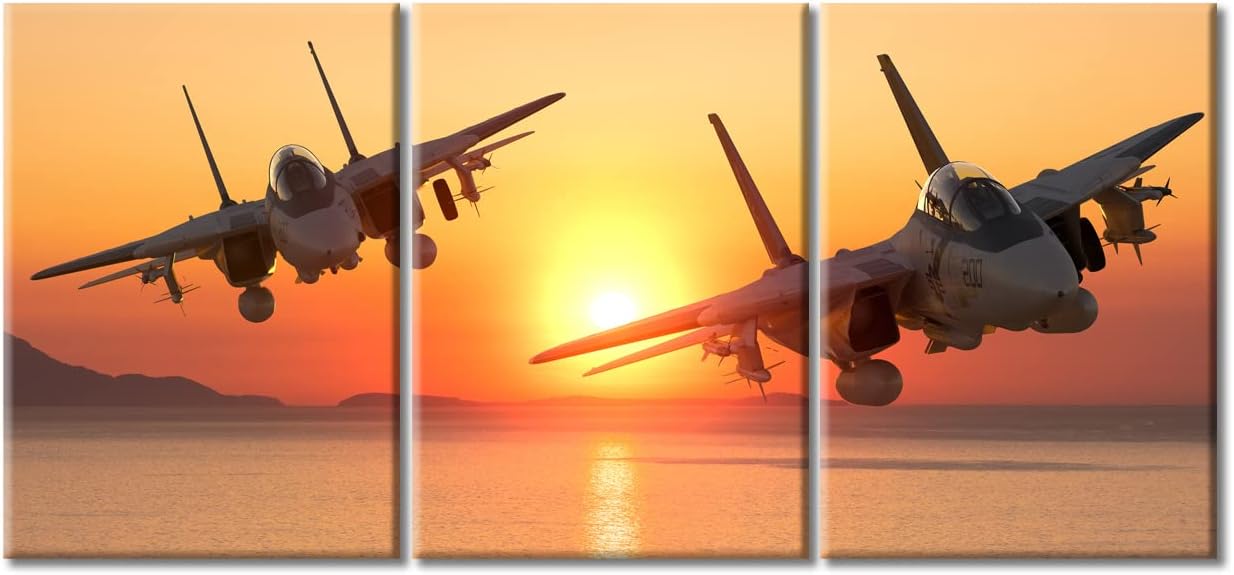 Amazon.com: TUMOVO Wall Art Grumman F-14 Tomcat Fighter Jet Pictures ...