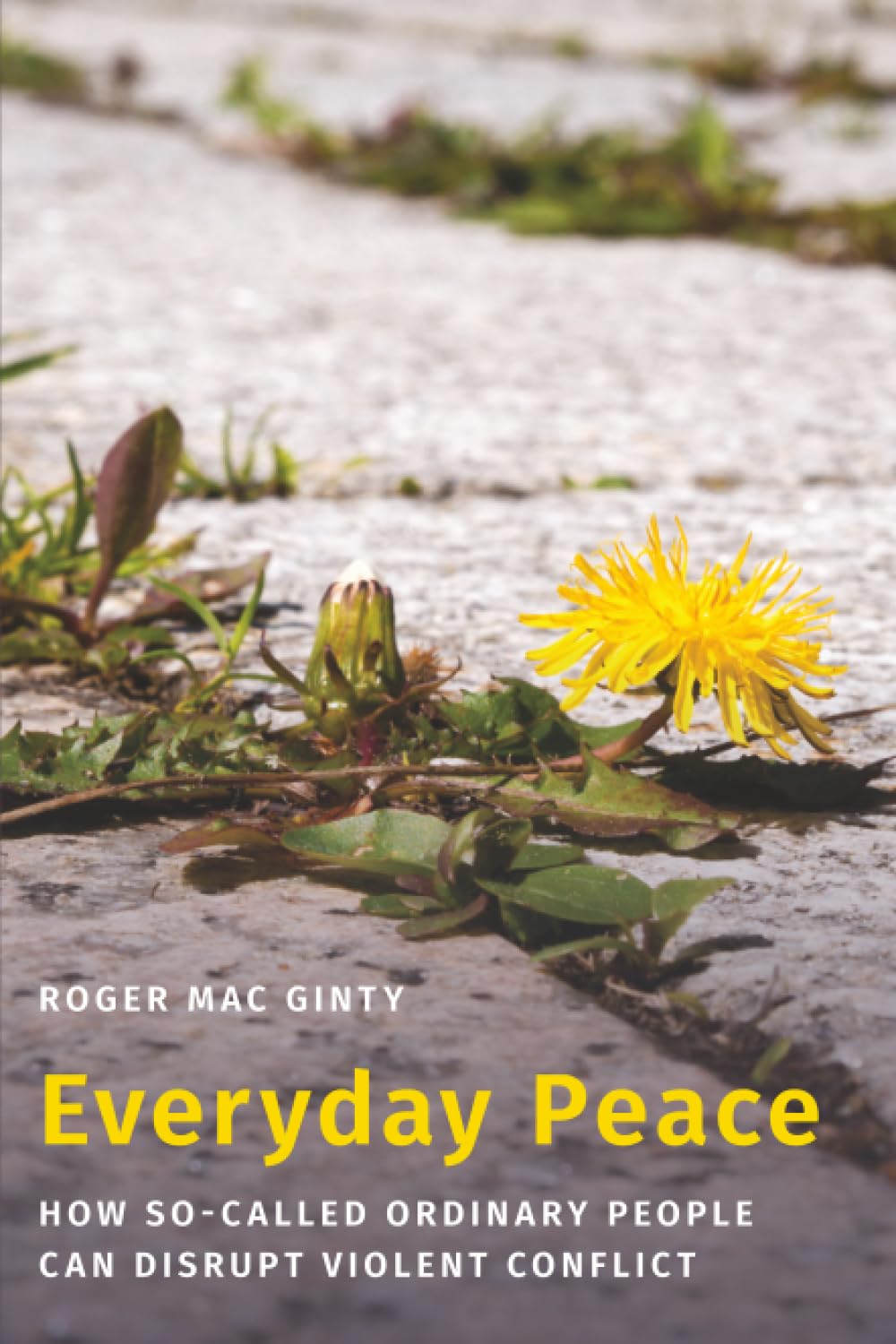 Everyday Peace (Studies in Strategic Peacebuilding): MAC GINTY ...
