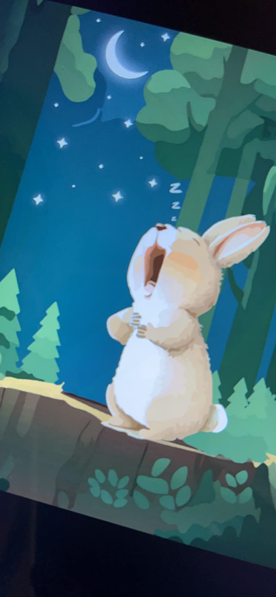 Sleepy Time Nighty-Night: A calming bedtime rhyming book for toddlers ...