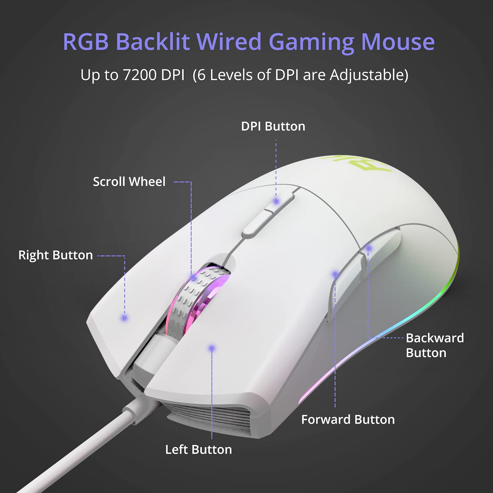 Buy RK ROYAL KLUDGE RK71 Wireless/Wired Mechanical Keyboard and 7200 ...