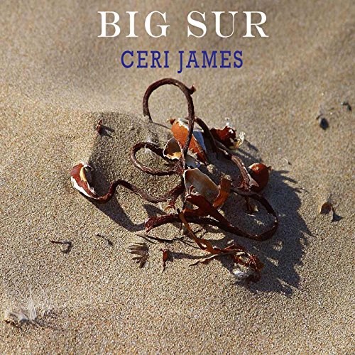 Amazon.com: Big Sur (Acoustic Version) : Ceri James: Digital Music