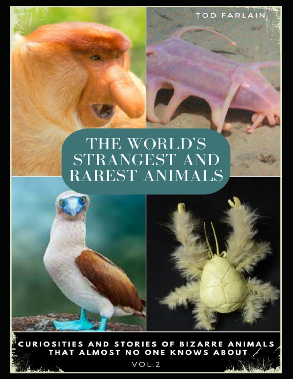 Unknown Animals Of The World 10 Weird Animals From Around The World