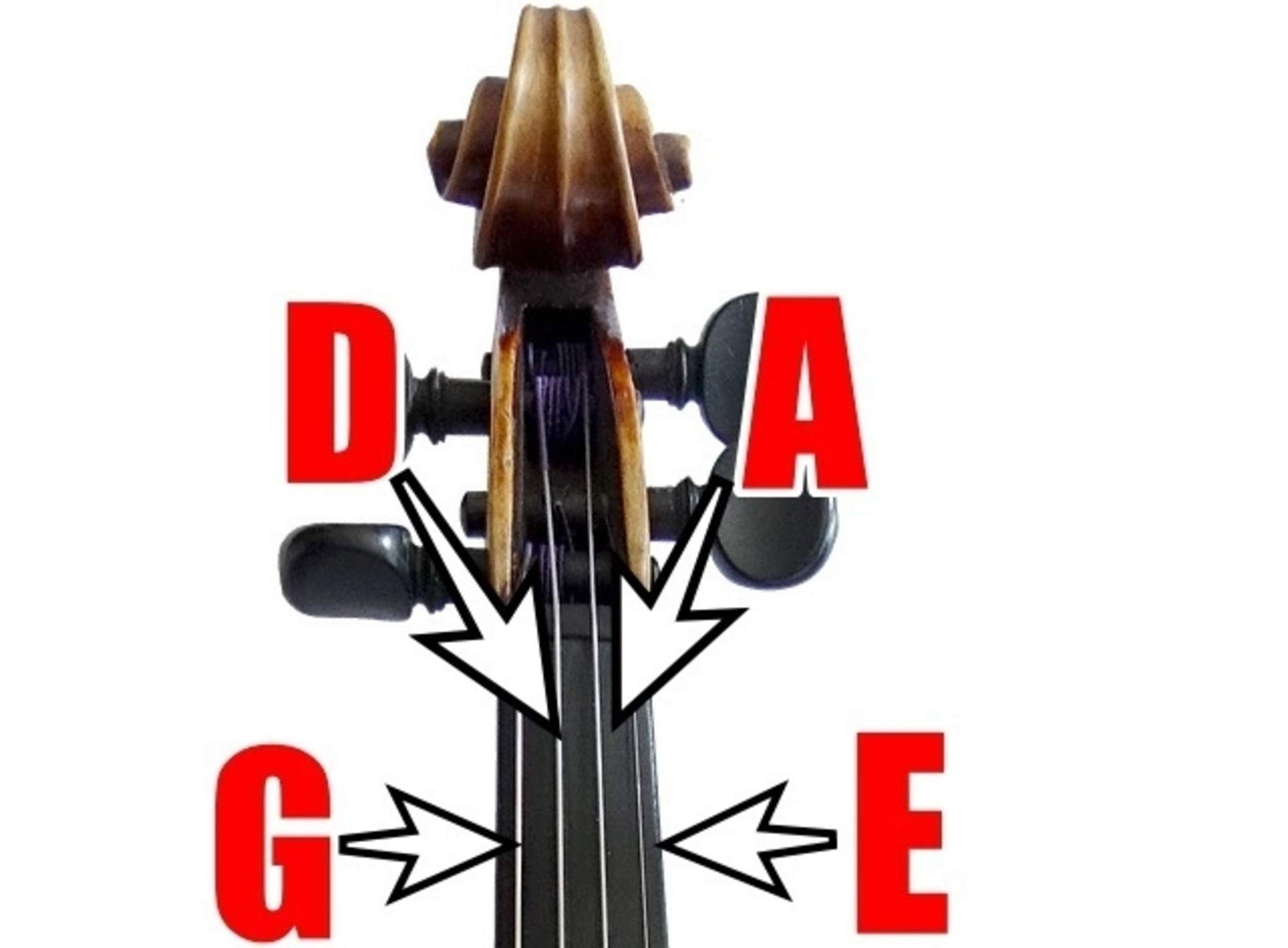 Violin String Names Violin String 2025 Names