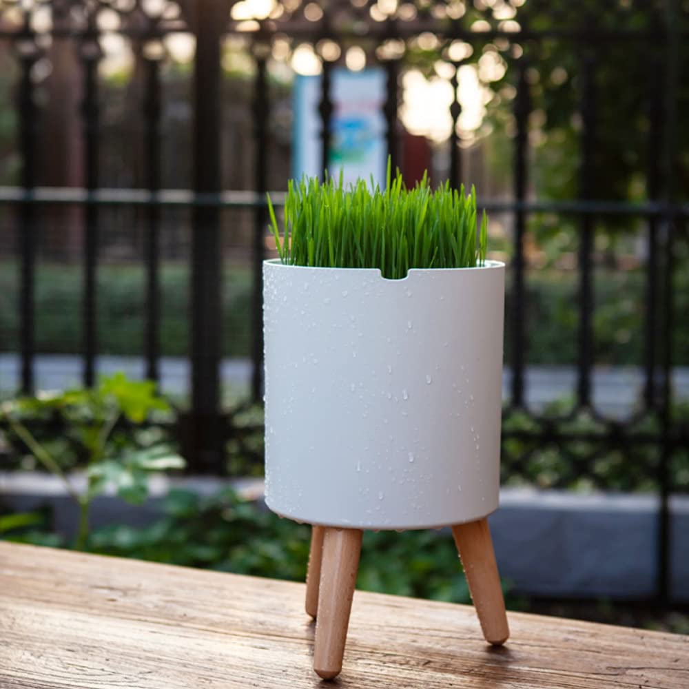 Abizoe Smart Flower Pots, Self Watering Plant Pot with Watering ...