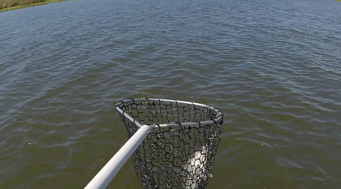 Amazon.com : Dovesun Rubber Fishing Net Replacement Netting Without ...