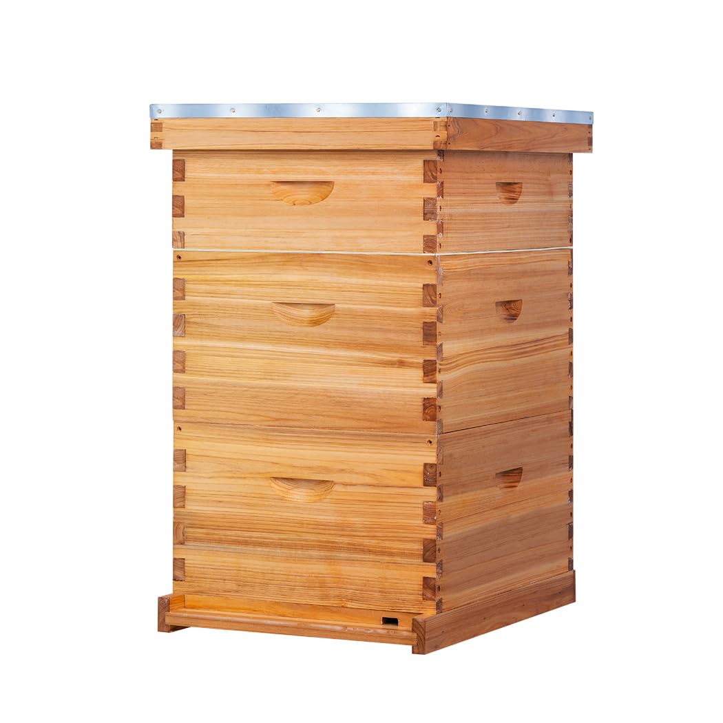 Amazon.com : POLLIBEE 10 Frame Bee Hive, Beeswax Coated Beehive Include ...