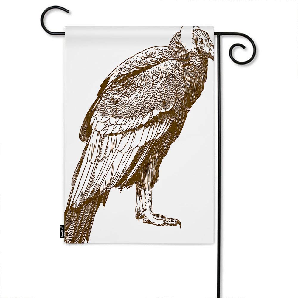 Scavenger Animals Drawing