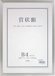 Amazon | セキセイ(Sekisei) 額縁 セリオ アルミ賞状額 B4 アルミ製 SRO-1326SRO-1326-00 | 額縁・パネル 通販