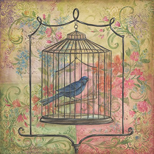 Bird Cage Art