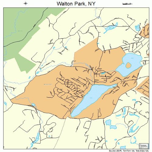Amazon.com: Large Street & Road Map of Walton Park, New York NY ...