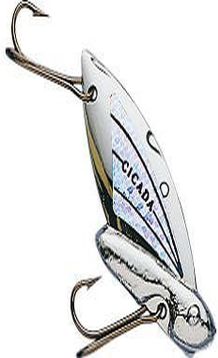 Amazon.com : Reef Runner Cicada Lure, 1/8-Ounce, Gold Orange : Fishing ...