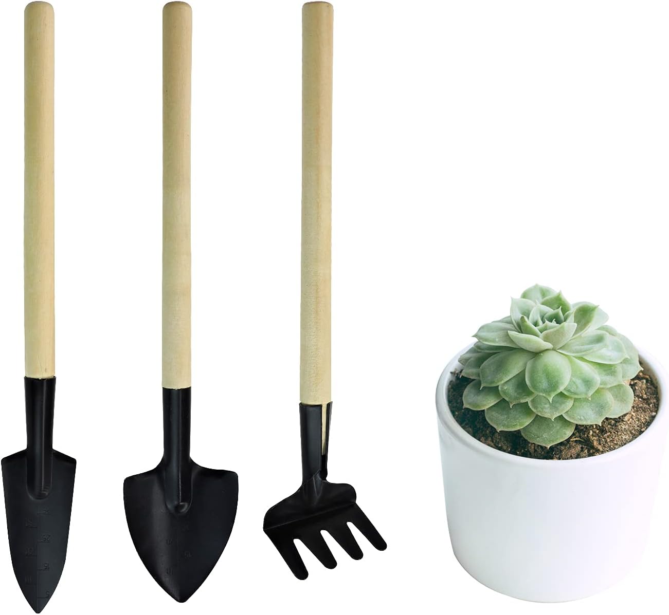 Amazon.com : Sibba Small Garden Tools 6 Pcs Mini Miniature Shovel ...