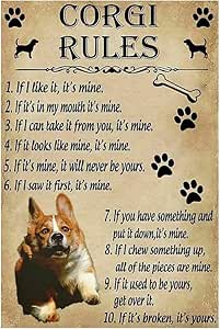 Amazon.com: Corgi Tin Sign A Corgi's House Rules Funny Home Decor Corgi ...